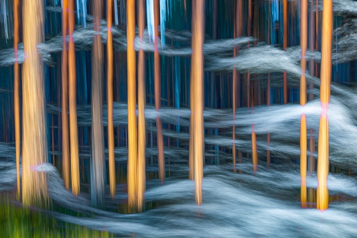 Ari-Matti Nikula :: Luonto 365